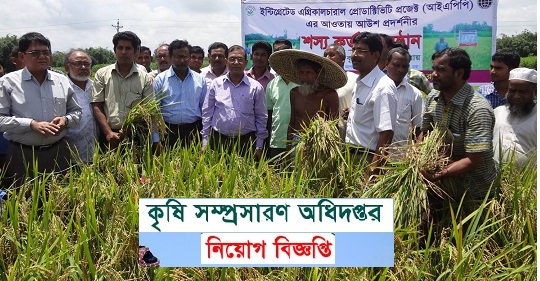 dae.teletalk.com.bd DAE Job Apply Online 2022 - Department of ...